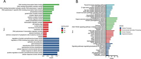 Functional Enrichment Analysis Of Core Targets A Bar Plot Of Go