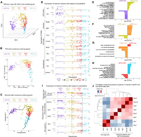 Figure 3 From Single Cell Transcriptomic Analysis Defines Heterogeneity