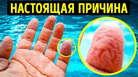 24 факта о теле, которые по сей день оставались загадкой - YouTube
