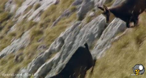 فیلم سینمایی برادران باددوبله فارسی فیلو