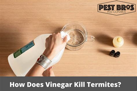 How Does Vinegar Kill Termites