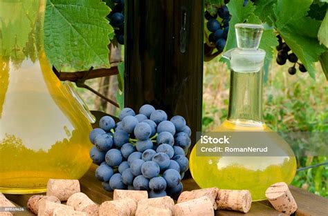 수 제 화이트 그리고 레드 포도에서 와인입니다 주 병 병 Corks 및 포도 덩굴의 배경에 대 한 촬영 가을에 대한 스톡 사진