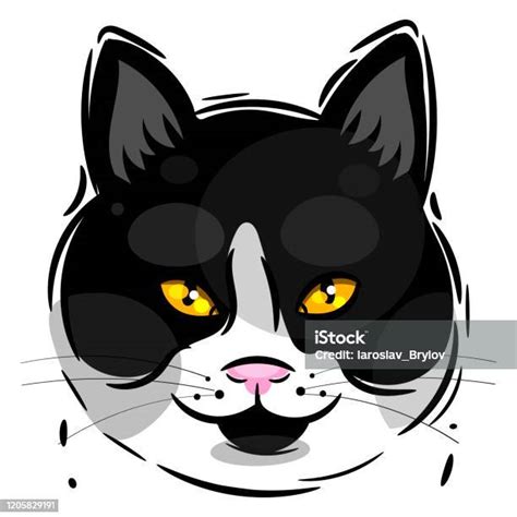 스타일이 있는 고양이 얼굴 테마가 있는 그런지 배경입니다 인사말 카드 포스터 또는 티셔츠 인쇄에 적합한 그림 고양이 새끼에 대한