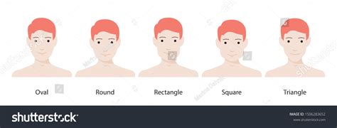 Set Vector Face Shapes Oval Triangle Stock Vector Royalty Free 1506283652 Shutterstock