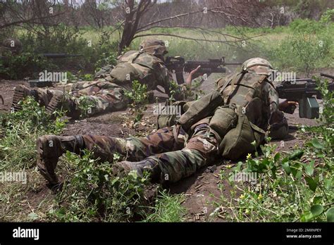 Right Side Rear View Of Us Army Soldiers From Alpha Company 1st Of