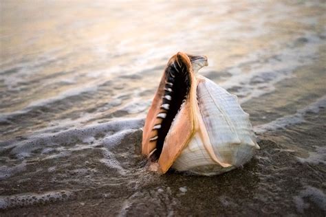 How ISO Speed Affects Exposure ItsJustLight Com