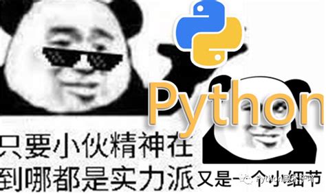 【python实战】一个星期练完这30个精心整理的python项目案例，成功逆袭：靠接单月入w＋轻轻松松，拿走就用~（大家冲鸭） Csdn博客
