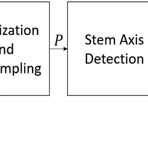 Block Scheme Of The Proposed 3 D Stem Modeling And Branch Knot Download Scientific Diagram