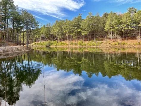 Best Hikes And Trails In Minooka Park Alltrails