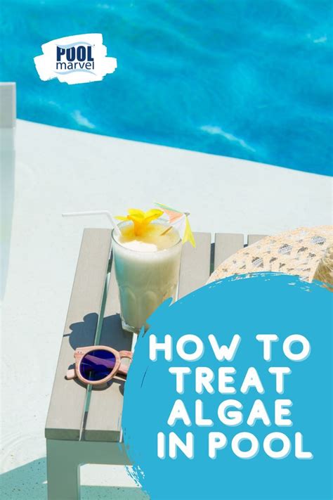 Is Swimming Pool Algae Dangerous Pool Algae Types Safety Artofit