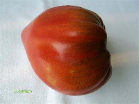 Blogmiren Tomate Coraz N De Buey