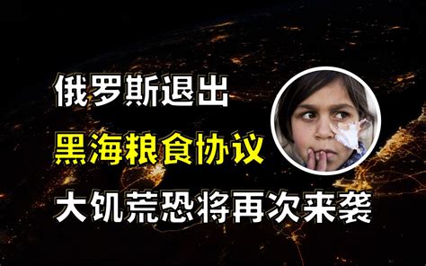 俄罗斯退出协议粮食通道再阻断全球粮食格局巨变饥荒上演 认知金字塔 认知金字塔 哔哩哔哩视频