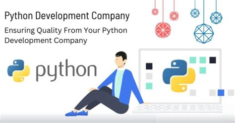 Ensuring Quality From Your Python Development Company Snabay Networking