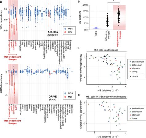 Msi Cells From Msi Predominant Lineages Have A Greater Mutational