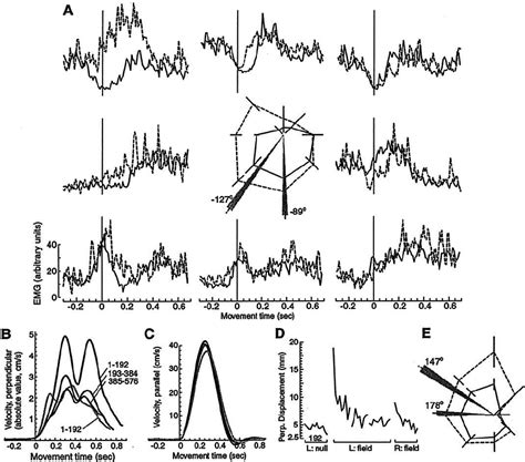 EMG And Kinematic Data From A Typical Subject Who Trained For Three