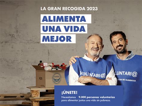 El Banco De Alimentos Necesita 9000 Voluntarios Para La “gran Recogida