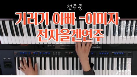 전자올겐연주 기러기아빠 이미자 쏠올겐연주 Youtube