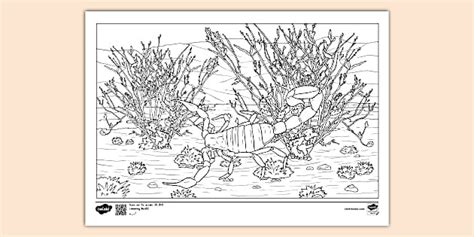 Scorpion Habitat Colouring Sheet Teacher Made Twinkl