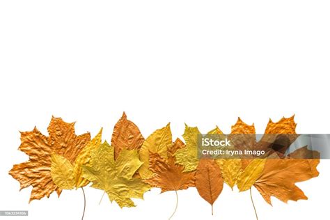 가 메탈 릭 골드 구리 실버 잎 흰색 절연 다른가 메탈 릭 페인트 복사 공간 흰색 바탕에 테두리 프레임을 떠난다 가 단풍 가로