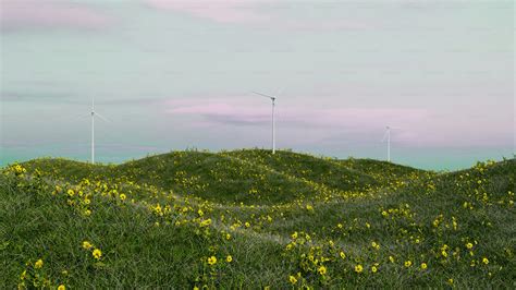 배경에 노란 꽃과 풍차의 들판 사진 Unsplash의 풍력 터빈 이미지