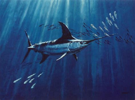 Atlantic Swordfish Severity Of Decline