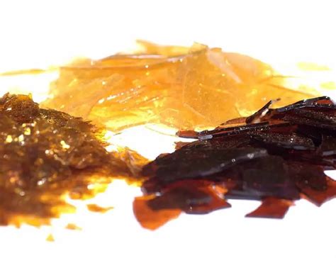 What Is Shellac Sustainability Pros And Cons