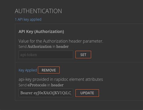 Setting API Key Programmatically And Existing Security Scheme Issue