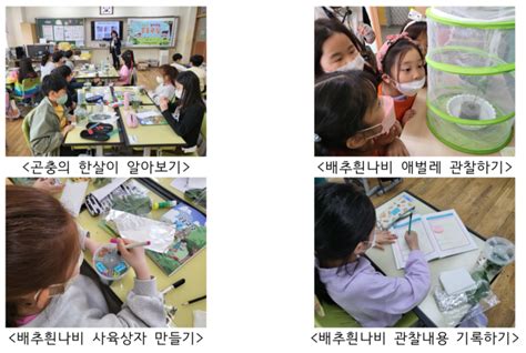 세계로컬타임즈