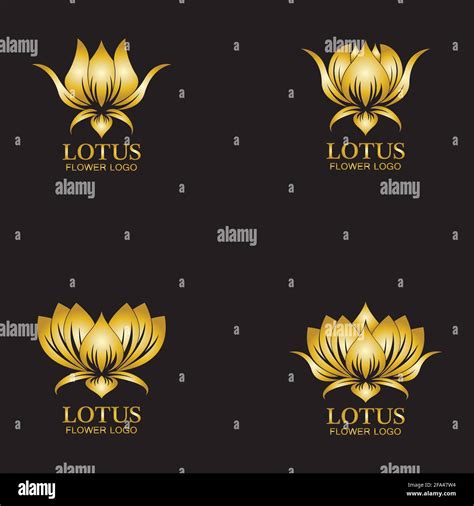 Golden Lotus Flower Logo Vector Design Template Of Lotus Icon On Dark Background With Golden