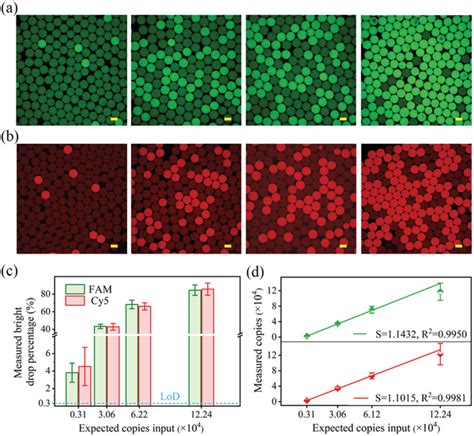 Nir‐responsive Ddpcr Results For Mirnas Detection Post‐ddpcr