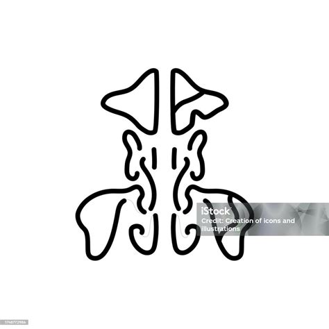 Sinusitis In The Sinus Color Line Icon Pictogram For Web Page Stock Illustration Download