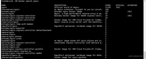 docker 安装 nginx 部署前端项目 nginx 宁在春 infoq写作社区