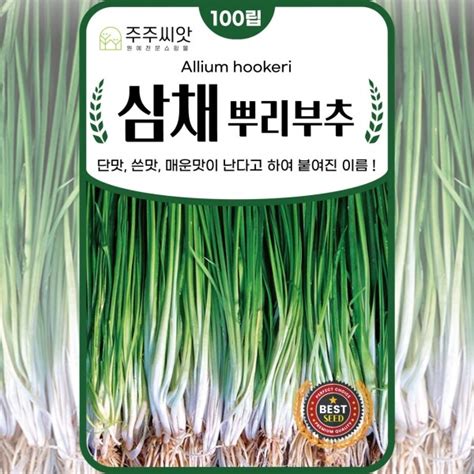 삼채씨앗 100립 뿌리부추 종자 씨 다년생 채소씨앗 하우숩