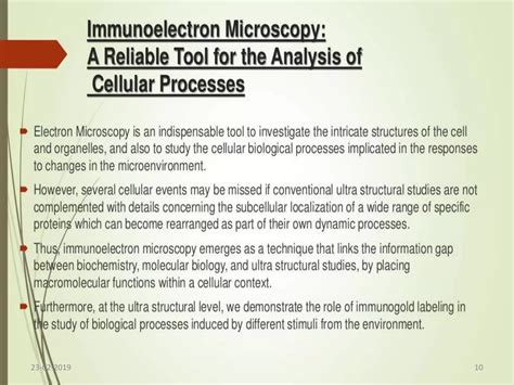 Immunoelectron Microscopy Pptx