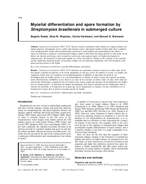 Pdf Mycelial Differentiation And Spore Formation By Streptomyces