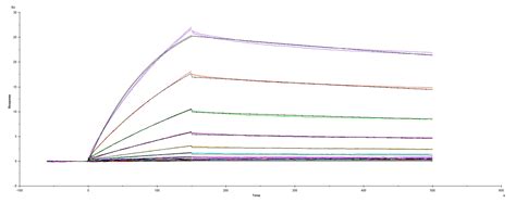 Recombinant SARS CoV 2 D614G Spike His Tag Protein CF 10620 CV 100 R