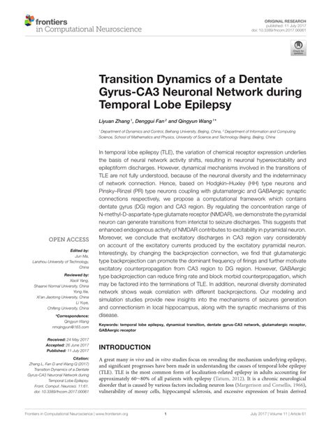 Pdf Transition Dynamics Of A Dentate Gyrus Ca3 Neuronal Network