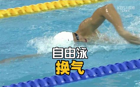 杨顺诚《大提琴之歌》北京花样游泳队 男子单人技术自选（2023“韵味杭州”全国花样游泳冠军赛） Bilibilib站无水印视频解析