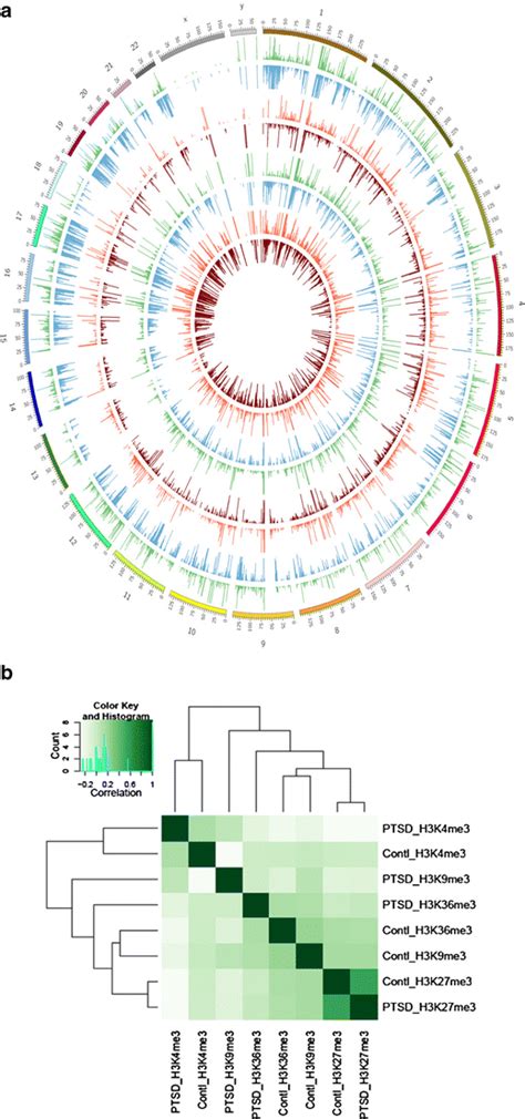 Genome Wide Histone Methylation In PBMCs PBMCs From A Control And A