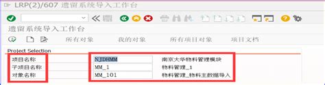 总结拓展九：sap数据迁移（1）ltmc Csdn博客