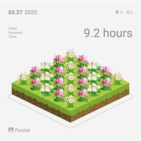 Best 13 Forest Productivity Artofit
