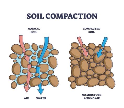 Landscaping To Improve Clay Soil Hollandscapes