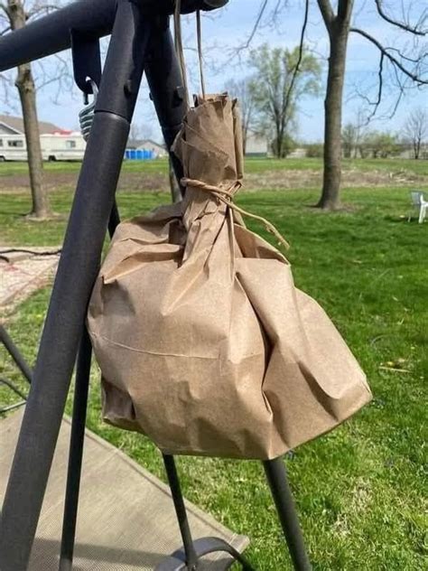 The Simple Paper Bag Trick To Keep Bees And Wasps Away Without