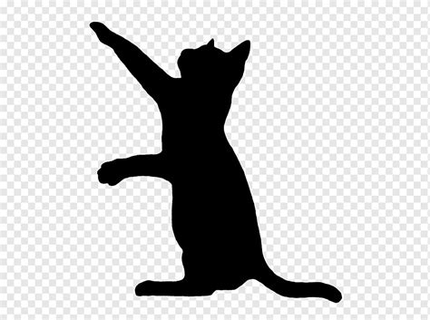 Silhueta de gatinho gato preto gato mamífero gato como mamífero
