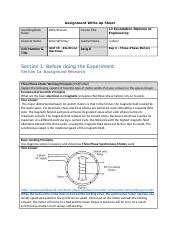 Brain Docx Assignment Write Up Sheet Awarding Body Name BTEC Pearson Course Title L