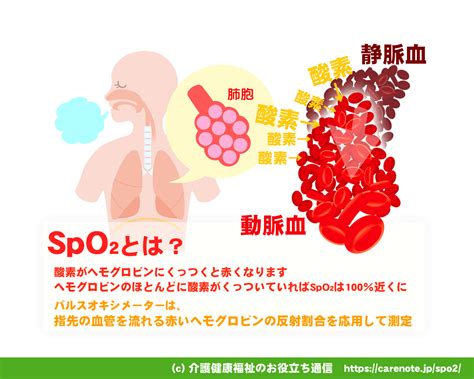 Spo2とは？ 正常値や危険値・低下の理由、パルスオキシメーターの仕組み 介護健康福祉のお役立ち通信
