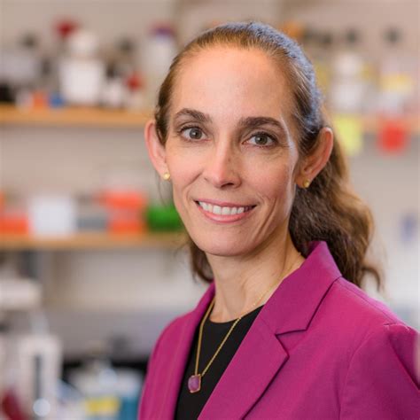 Dr Kimberly Stegmaier Cancer Grand Challenges