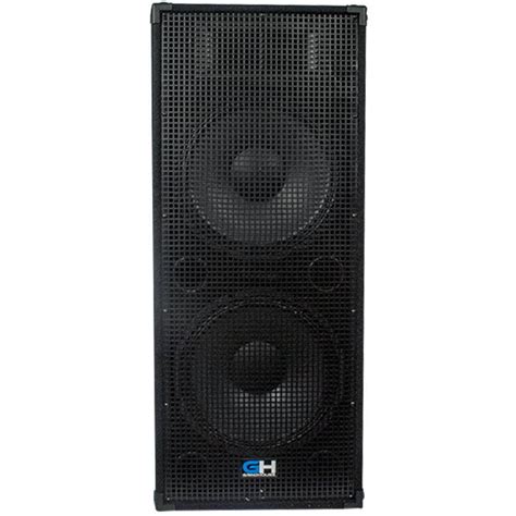 Affordable Dual 15 Inch Pa Dj Cabinet Mains For Musicians On A Budget