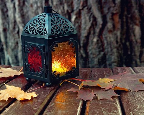 Lantern Leaves Autumn HD Wallpaper Nature And Landscape Wallpaper