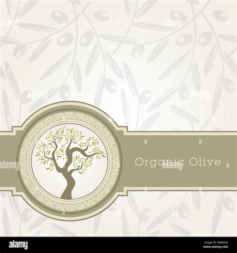 Olive Oil Vector Label Template Stock Vector Image Art Alamy